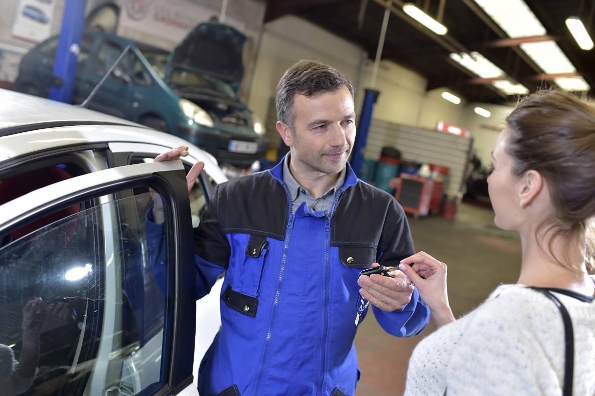 Increasing Customer Satisfaction in the Automobile Industry ...